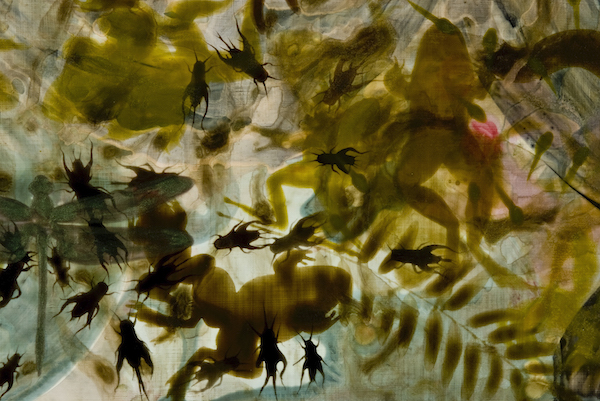 Art Gallery - Western Illinois University